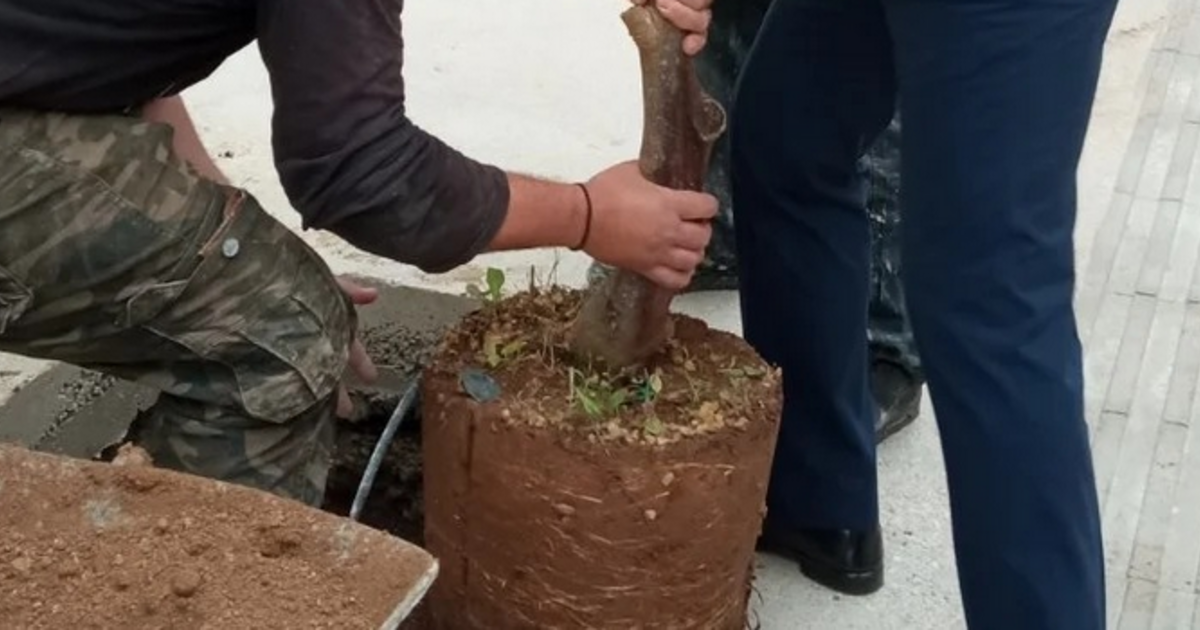 Δίνουν ξανά "ζωή" στον δρόμο που γνώρισε μεγάλες εμπορικές δόξες ...