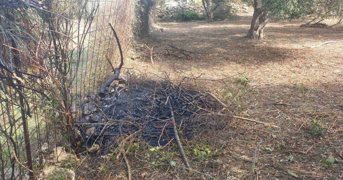 Έκαιγε κλαδιά και του επιβλήθηκε πρόστιμο! | Cretalive ειδήσεις